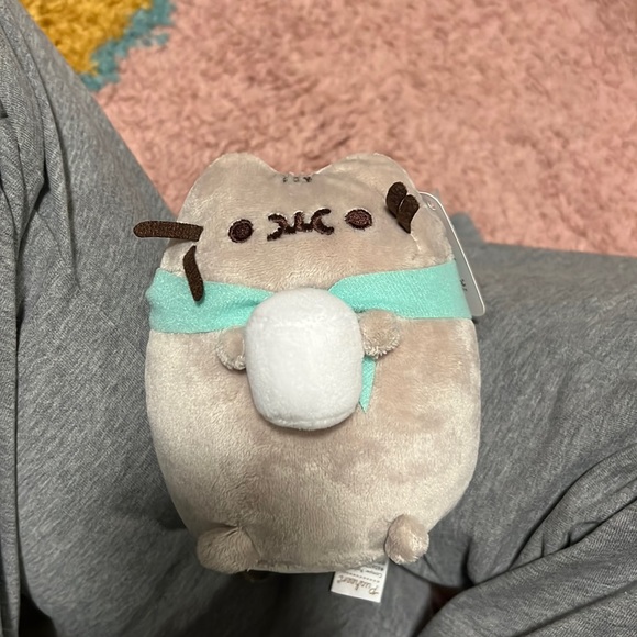 Other | Camp Pusheen Marshmallow Plush | Poshmark
